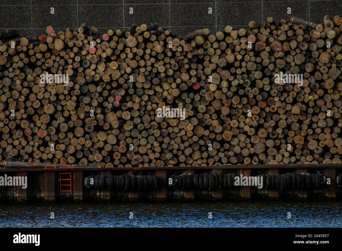 timber on the harbour Stock Photo - Alamy
