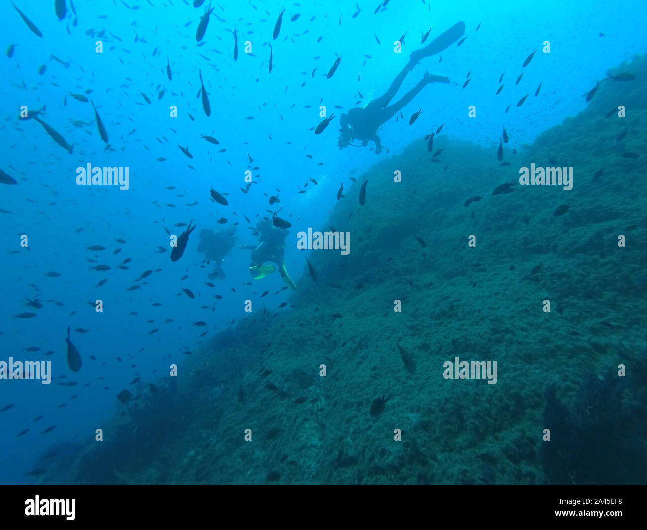 Scuba diving at le dramont, France Stock Photo - Alamy