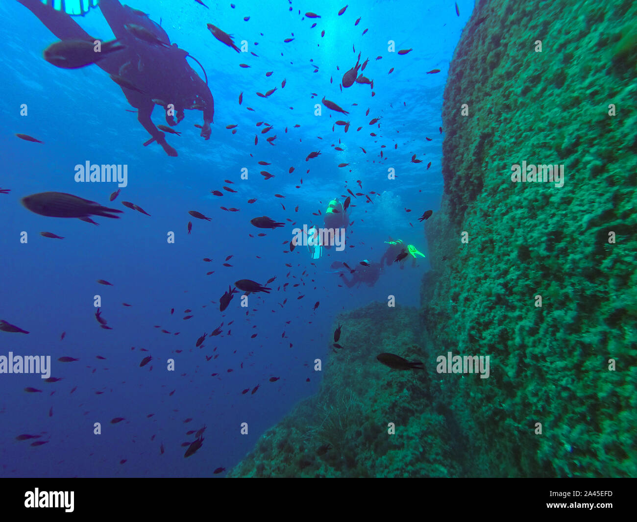 Scuba diving at le dramont, France Stock Photo - Alamy
