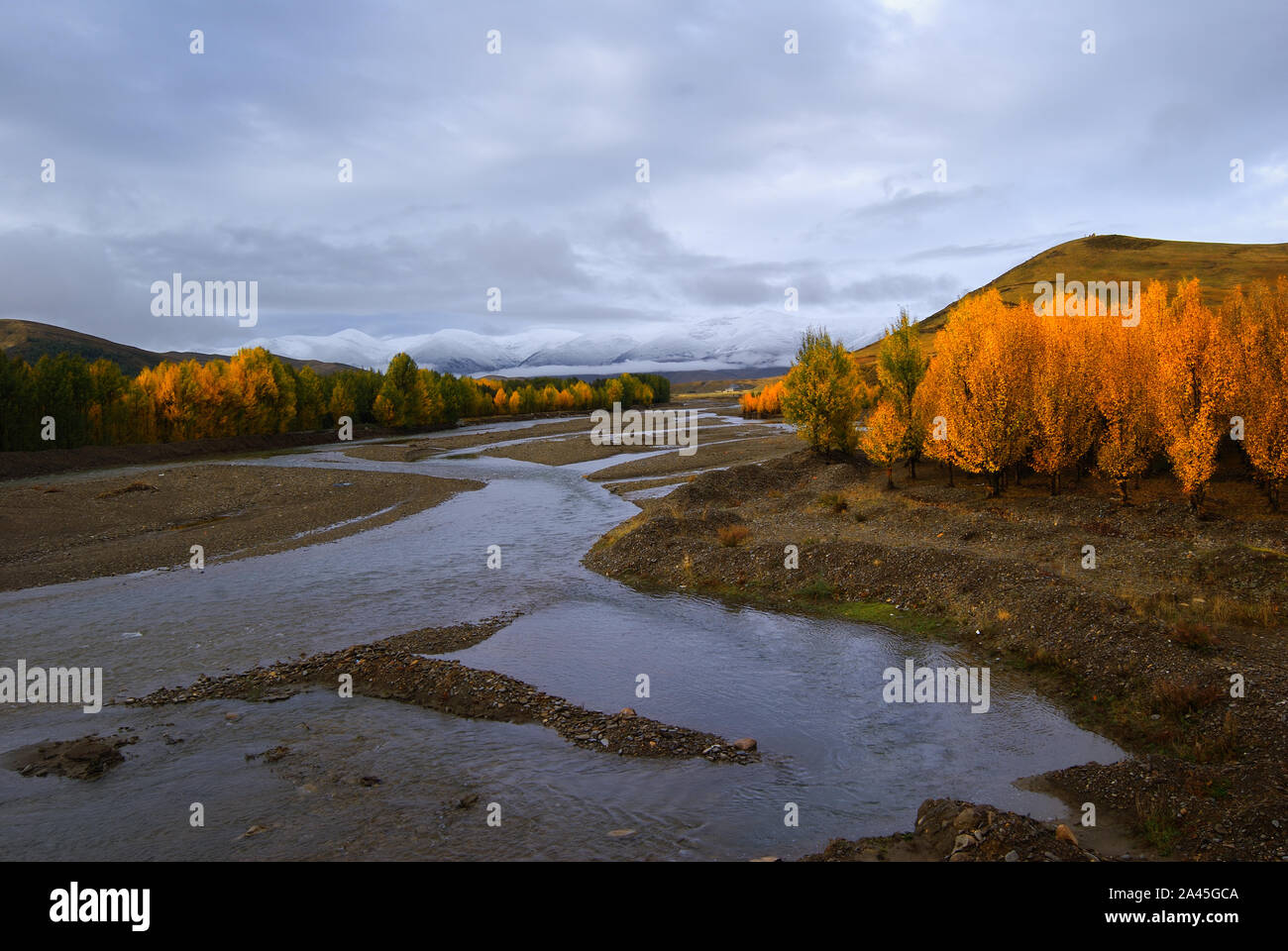 Autum weeps Daocheng Yading into yellow and red in Tibetan Autonomous ...
