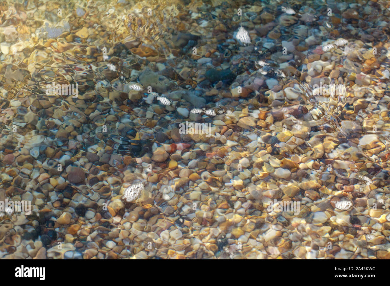 sea pebbles colored granite on the beach background stones. The shore ...