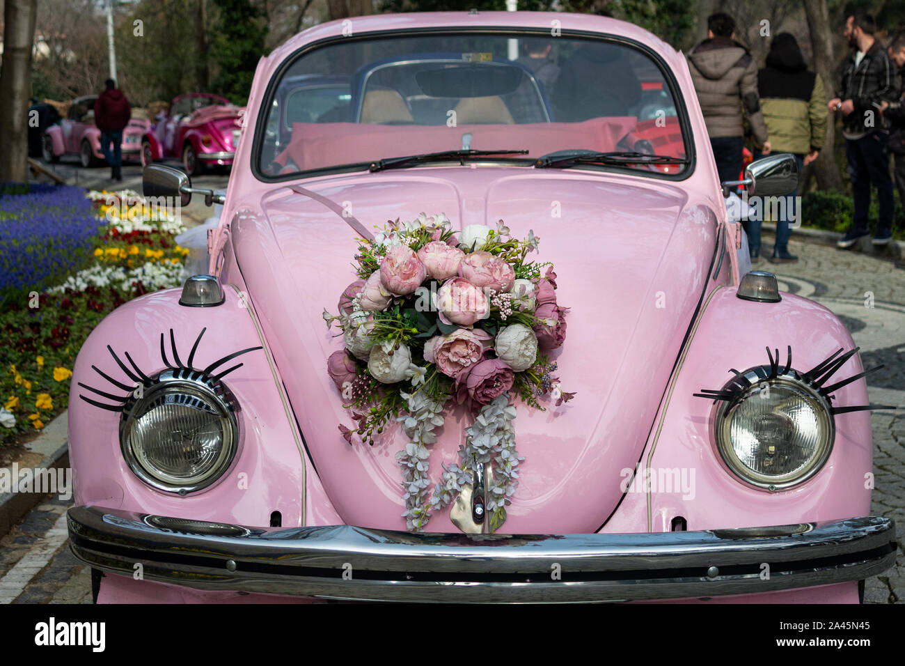 Pink classic convertible car and flowers on hood Stock Photo - Alamy