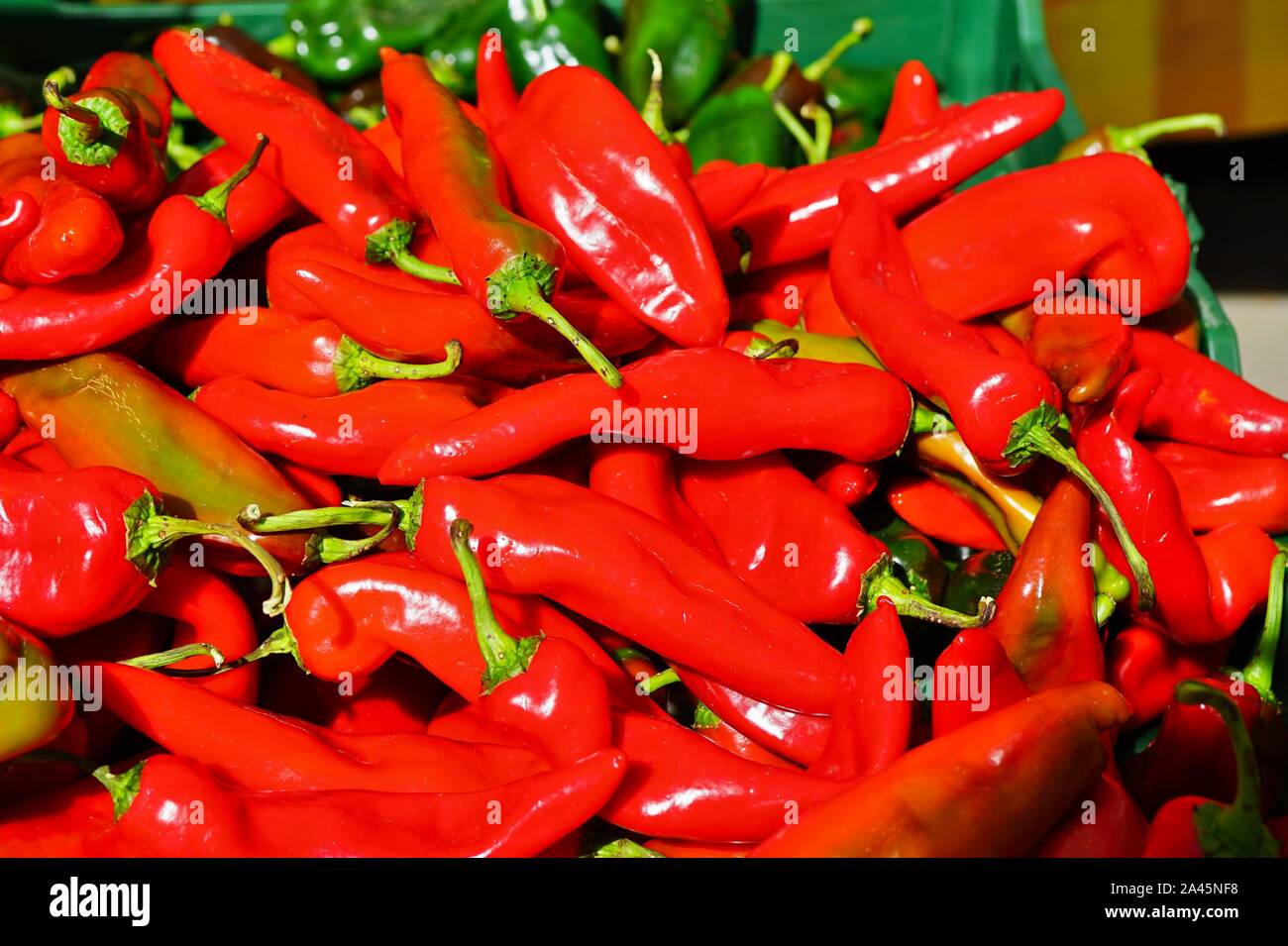 Red Anaheim chili peppers at a farmers market Stock Photo - Alamy