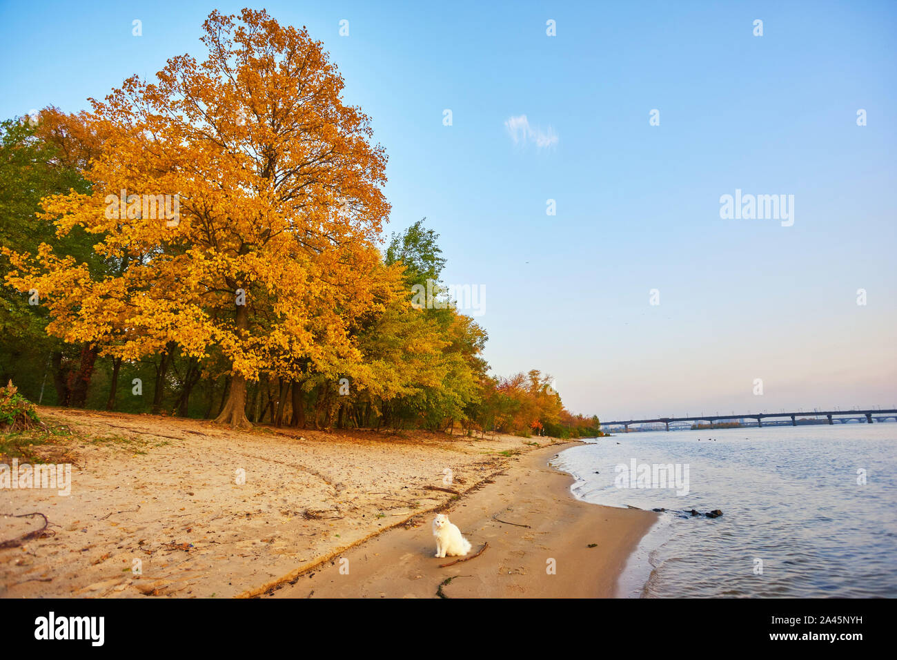 View of Dnieper river in Kiev, Ukraine Stock Photo - Alamy
