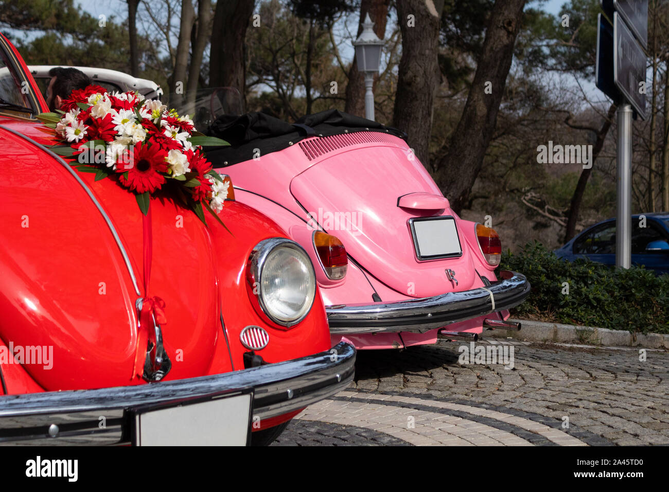 Red classic car with flower on the hood and pink classic car in the ...