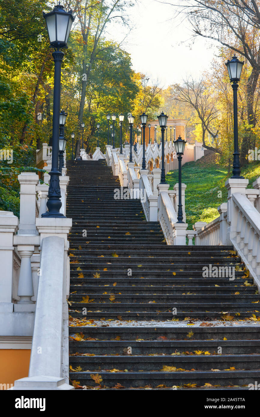 Autumn sunny day, steps of stairs in the old park, many fallen foliage ...