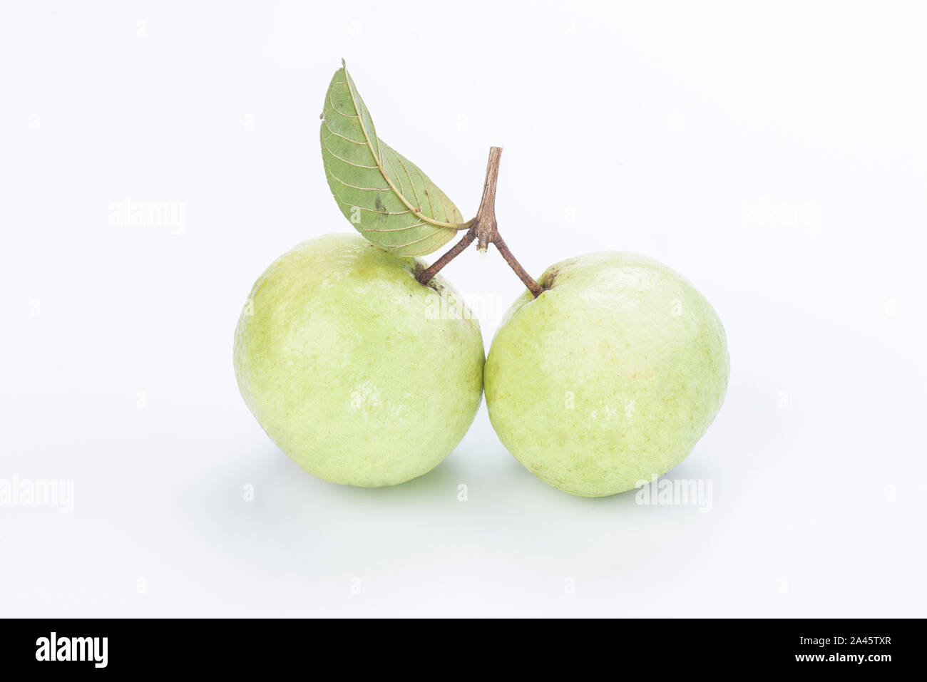 Two guava with leaf isolated on white background Stock Photo - Alamy