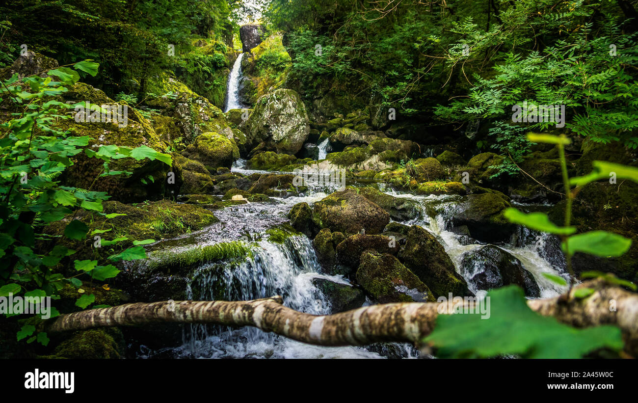 Small cascade on a mountain stream or creek, between mossy rocks, water ...