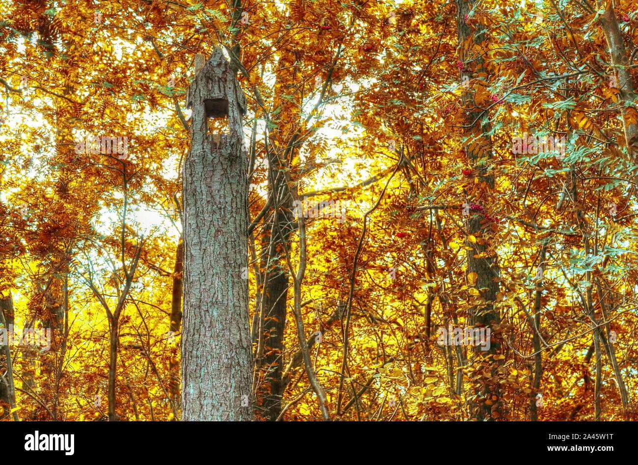 Autmun view hi-res stock photography and images - Alamy