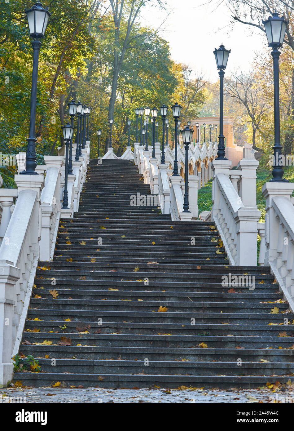 Autumn sunny day, steps of stairs in the old park, many fallen foliage ...