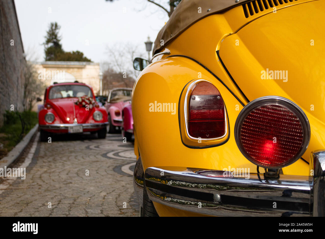 Car back view hi-res stock photography and images - Alamy