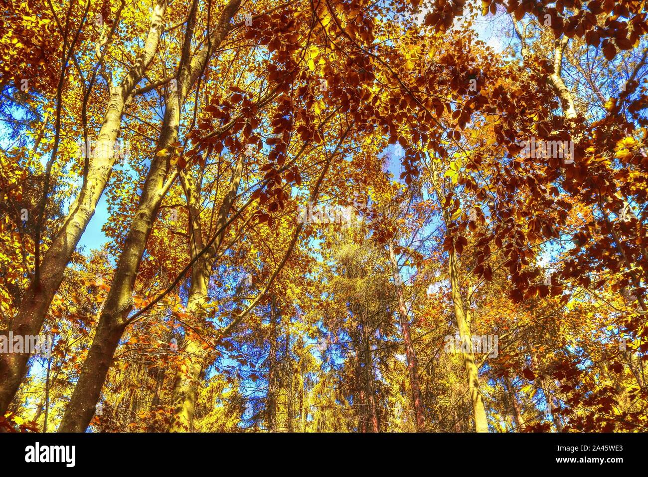 Autmun view hi-res stock photography and images - Alamy