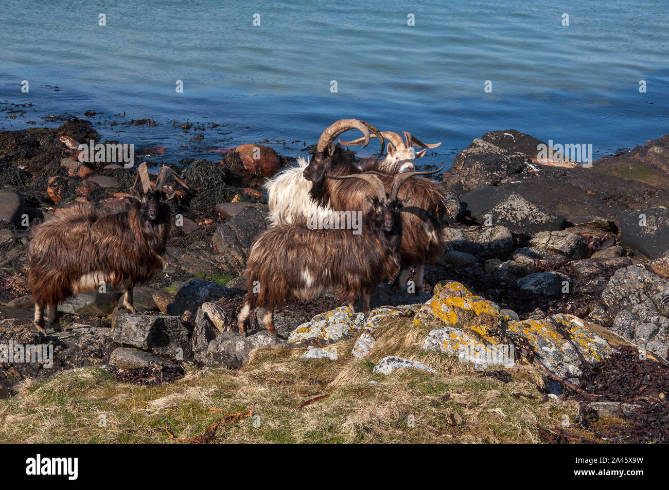 Carraig hi-res stock photography and images - Alamy
