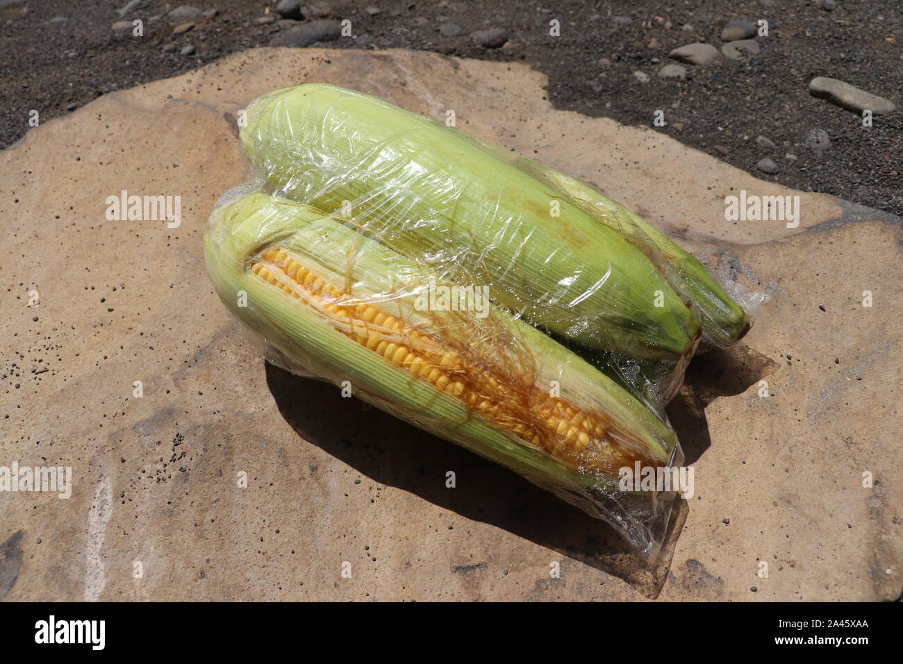 Group of ripe corn in a plastic bag. Yellow grains under transparent ...