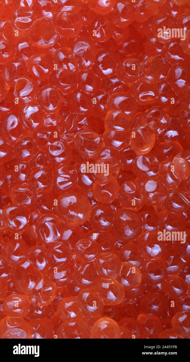 red caviar at day Stock Photo - Alamy