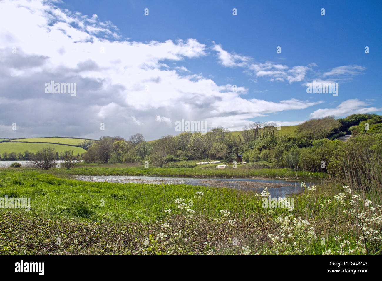 Slapton Ley; national nature reserve near the coast in south Devon ...