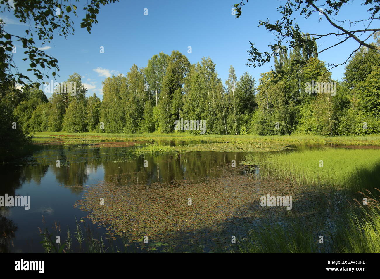 Rovon hi-res stock photography and images - Alamy