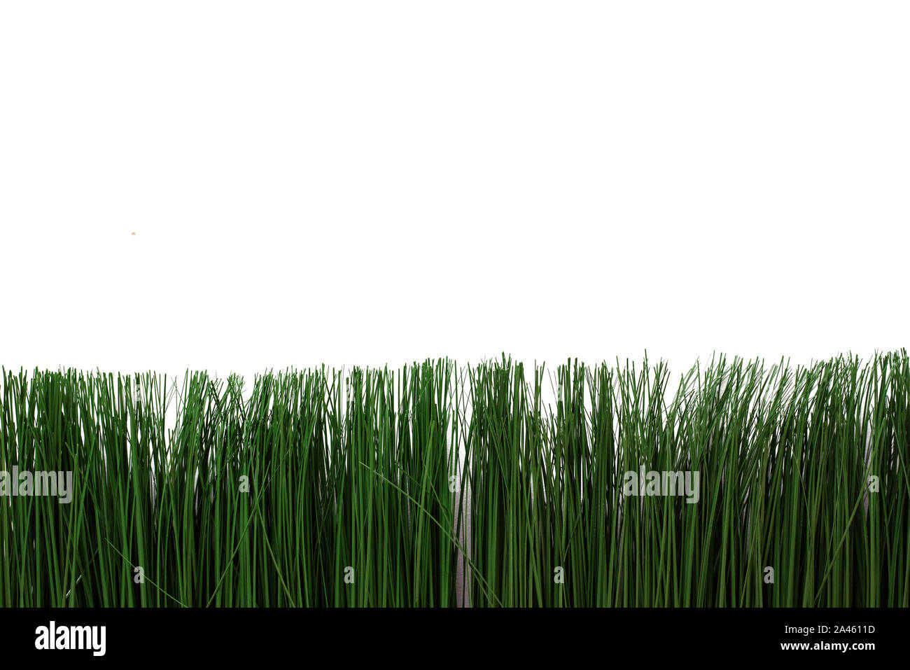 Rectangular Lawn Garden High Resolution Stock Photography and Images ...