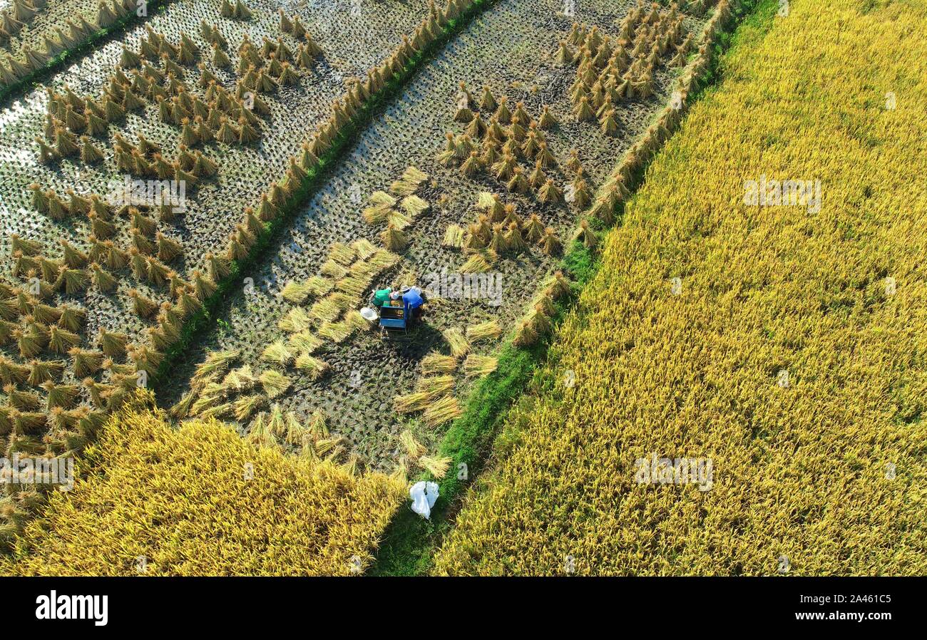 Aerial view of croplands hi-res stock photography and images - Alamy