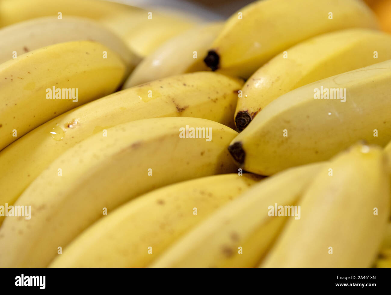 Rukla hi-res stock photography and images - Alamy