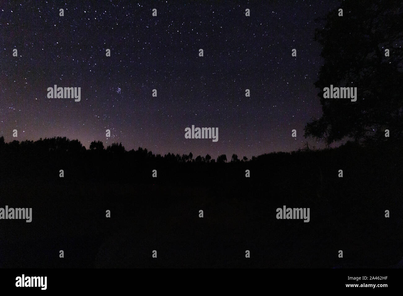 Night shot with stars on a night sky background Stock Photo - Alamy