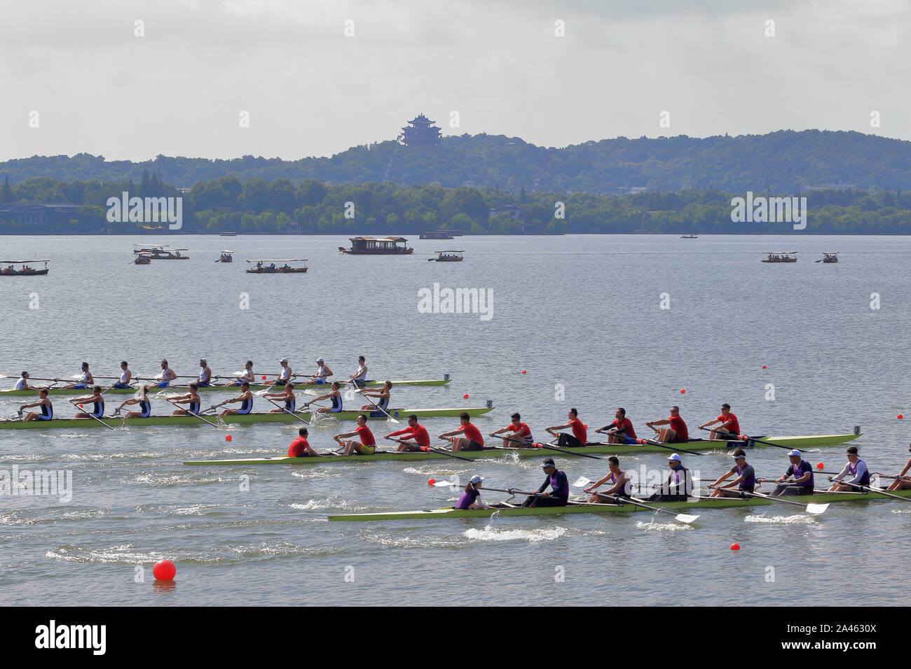Four rowing teams compete against each other at the West-lake during ...