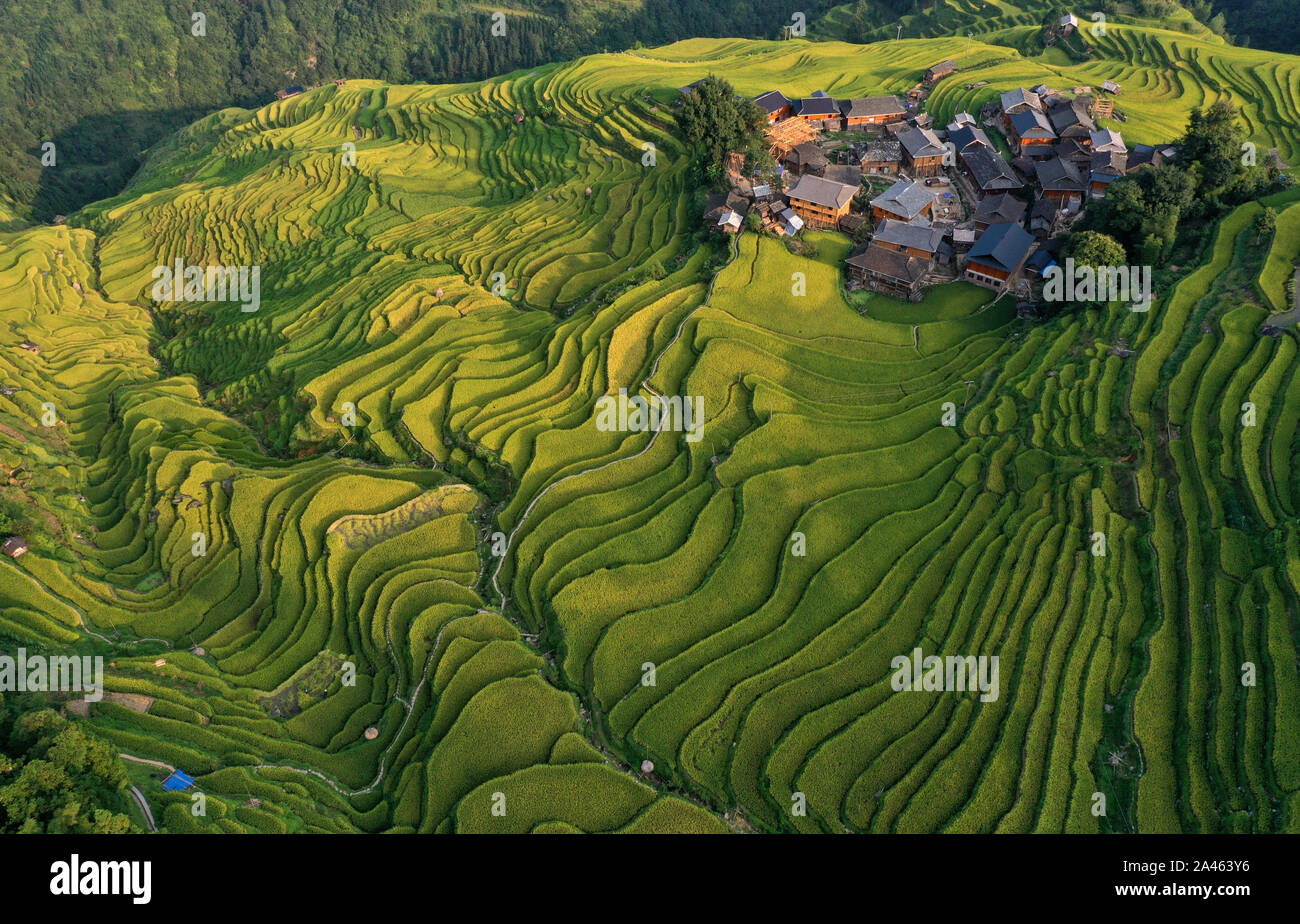 An aerial view of the Jiabang Terraced Fields in Congjiang county ...