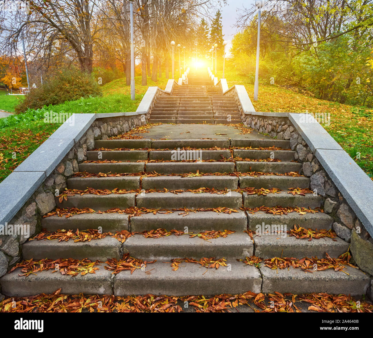 Autumn sunny day, steps of stairs in the old park, many fallen foliage ...