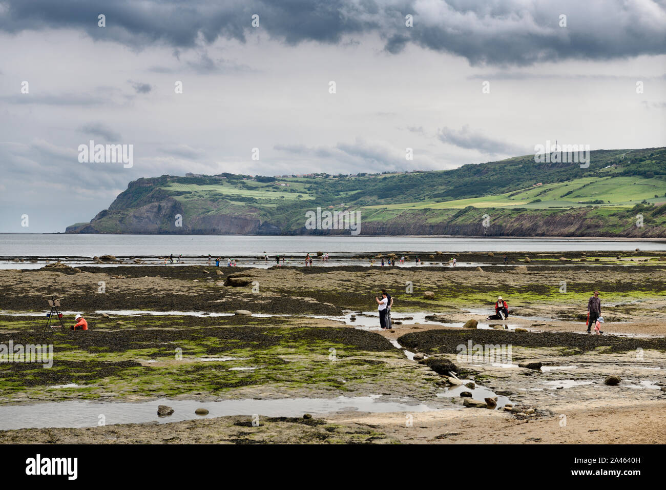 Visitors and school children at Robin Hood's Bay at low tide with Peter ...