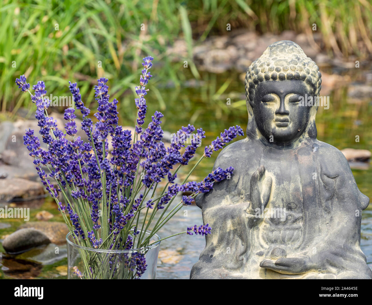 Buddha statue with lavender Zen Stock Photo - Alamy