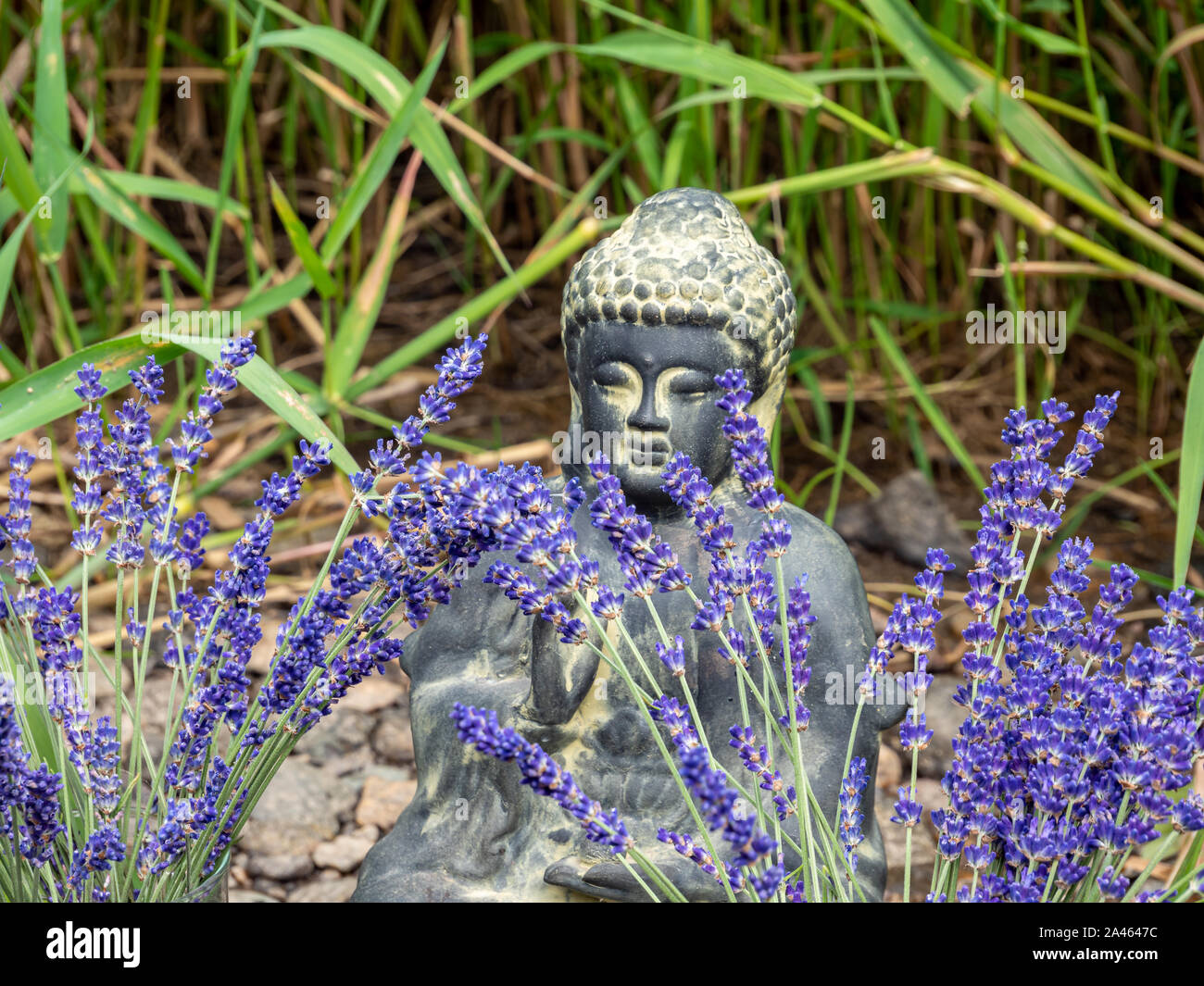 Buddha faith hi-res stock photography and images - Alamy