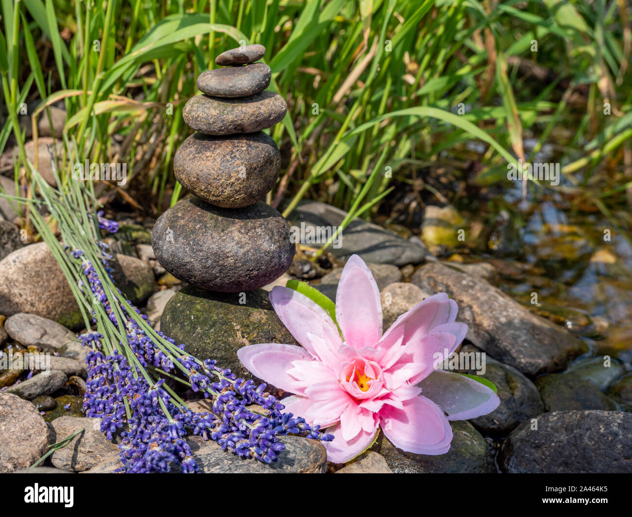 Qi gong meditating hi-res stock photography and images - Alamy