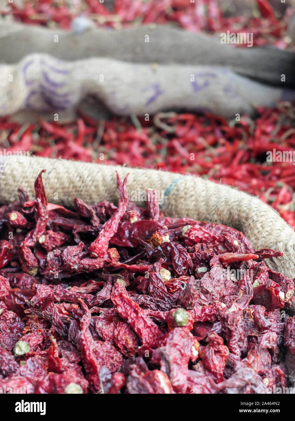 Indian dried red chillies hi-res stock photography and images - Alamy