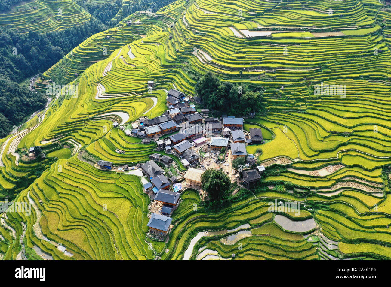 An aerial view of the Jiabang Terraced Fields in Congjiang county ...