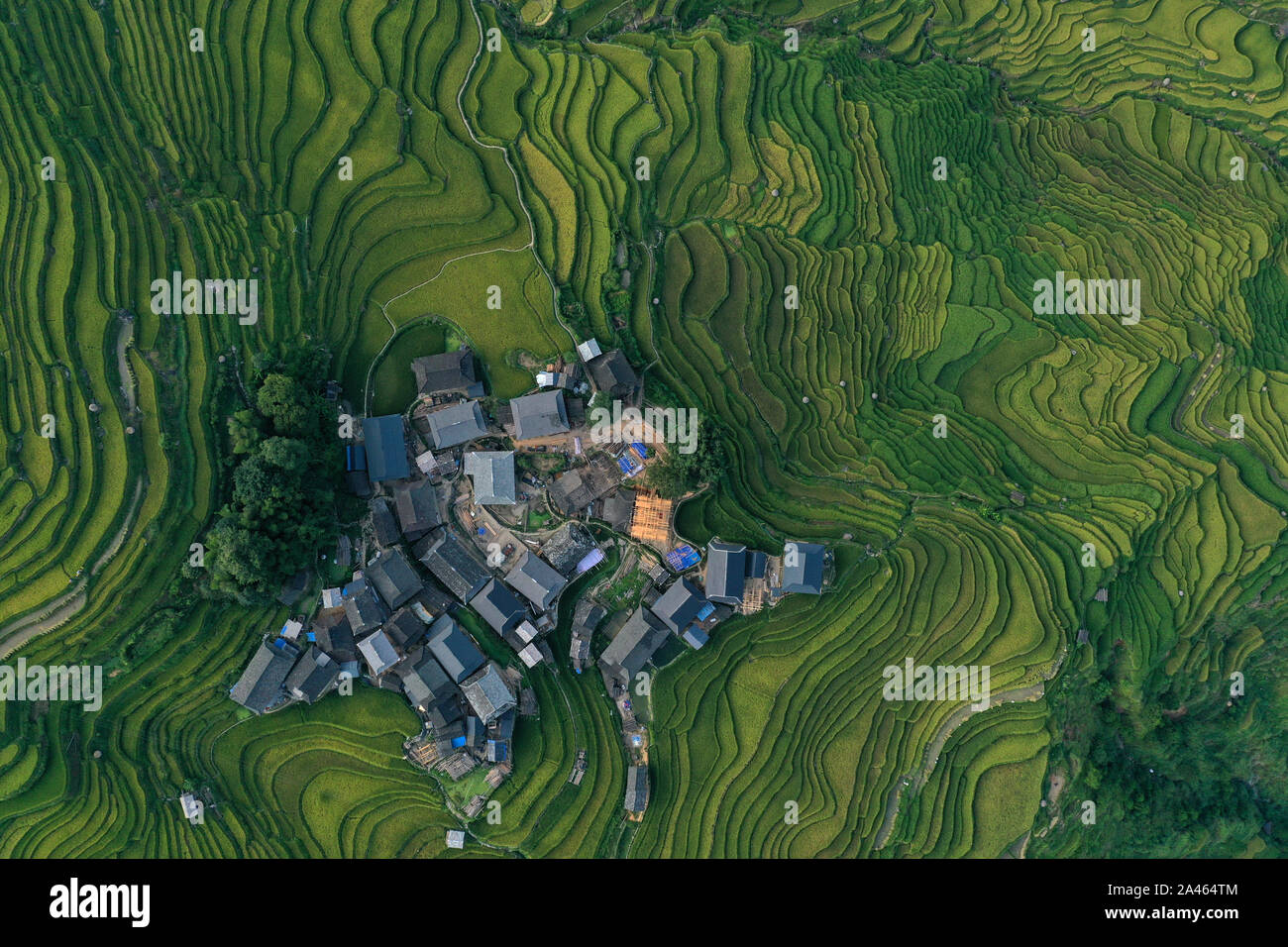 An aerial view of the Jiabang Terraced Fields in Congjiang county ...