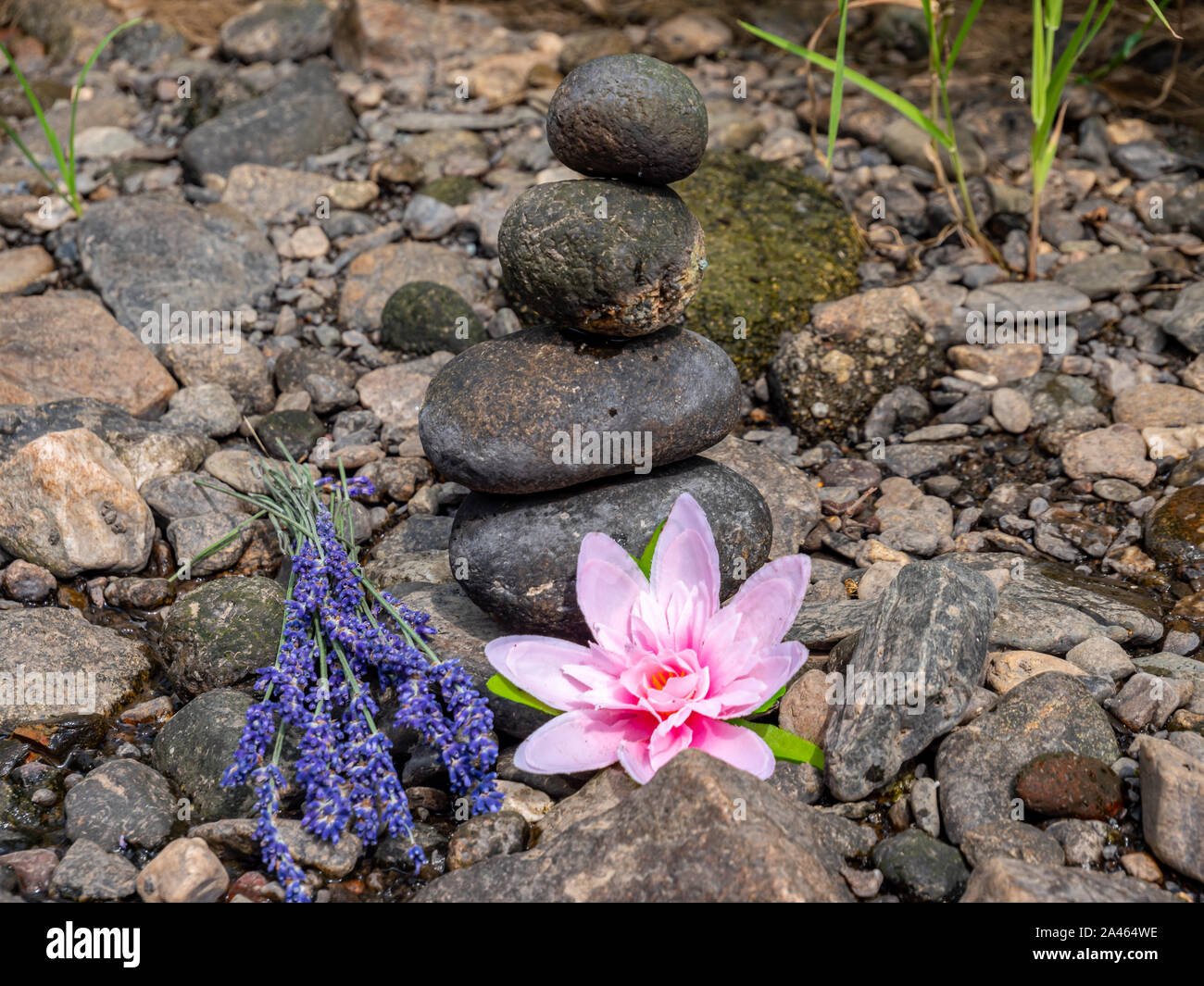 In balance wellness background Stock Photo - Alamy