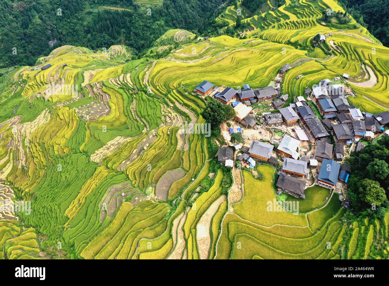 An aerial view of the Jiabang Terraced Fields in Congjiang county ...