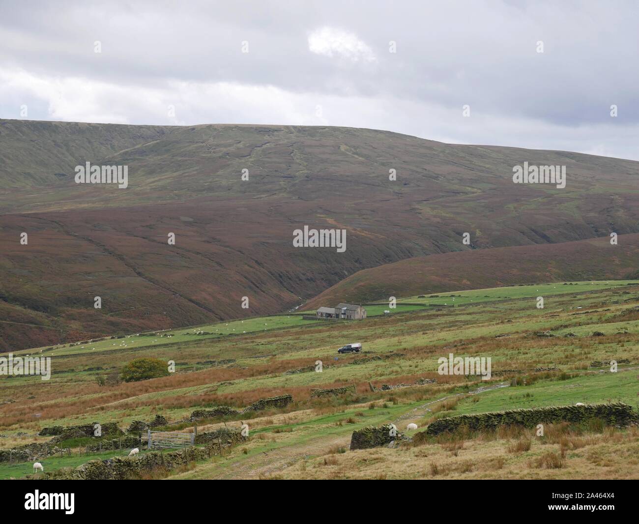A winding lane leading to a lonley farm house in a valley on the ...