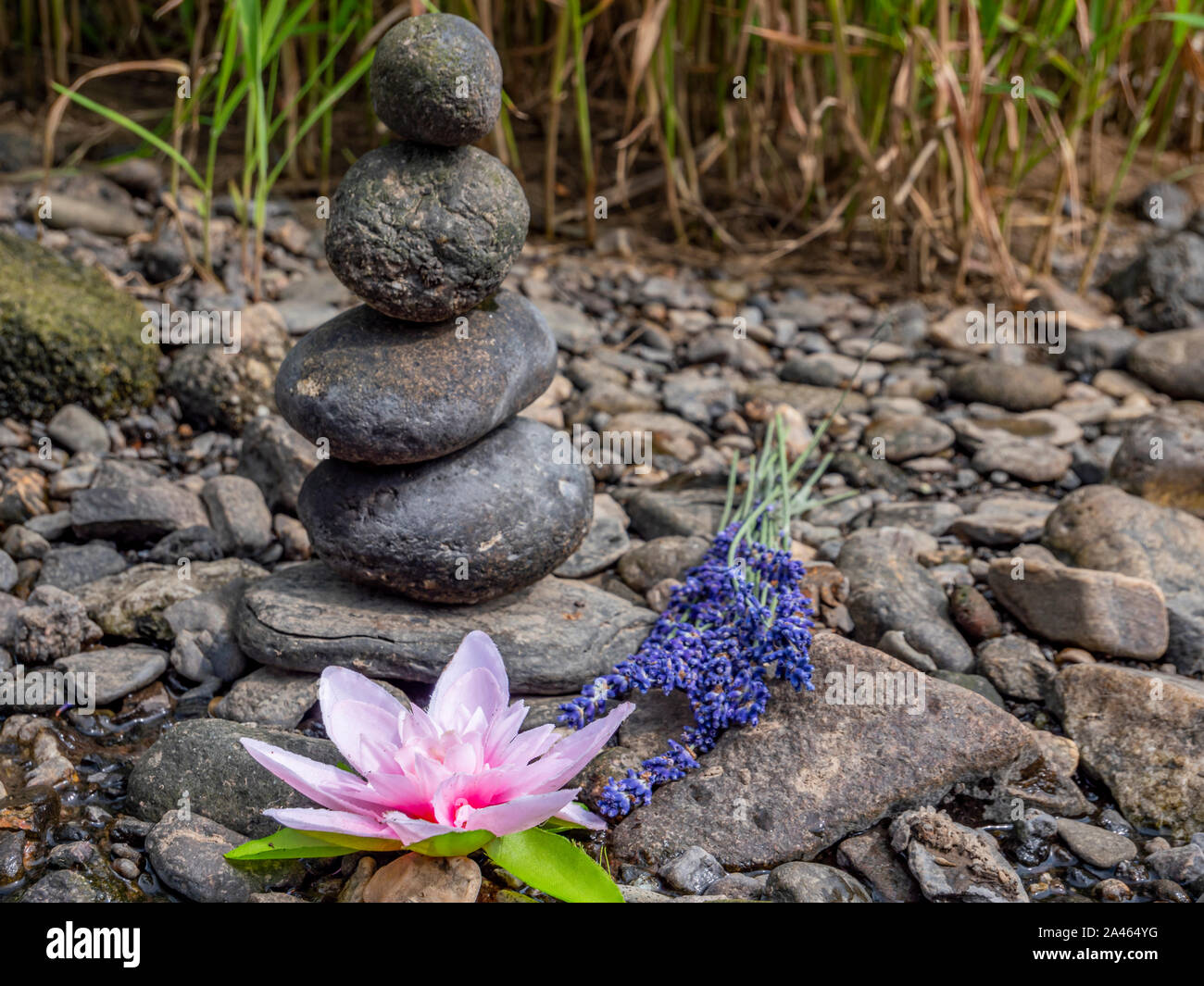 Balance of stones with lotus flower Stock Photo - Alamy