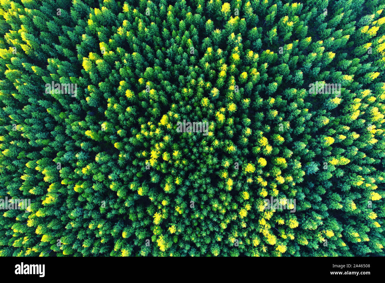 Da hinggan ling hi-res stock photography and images - Alamy