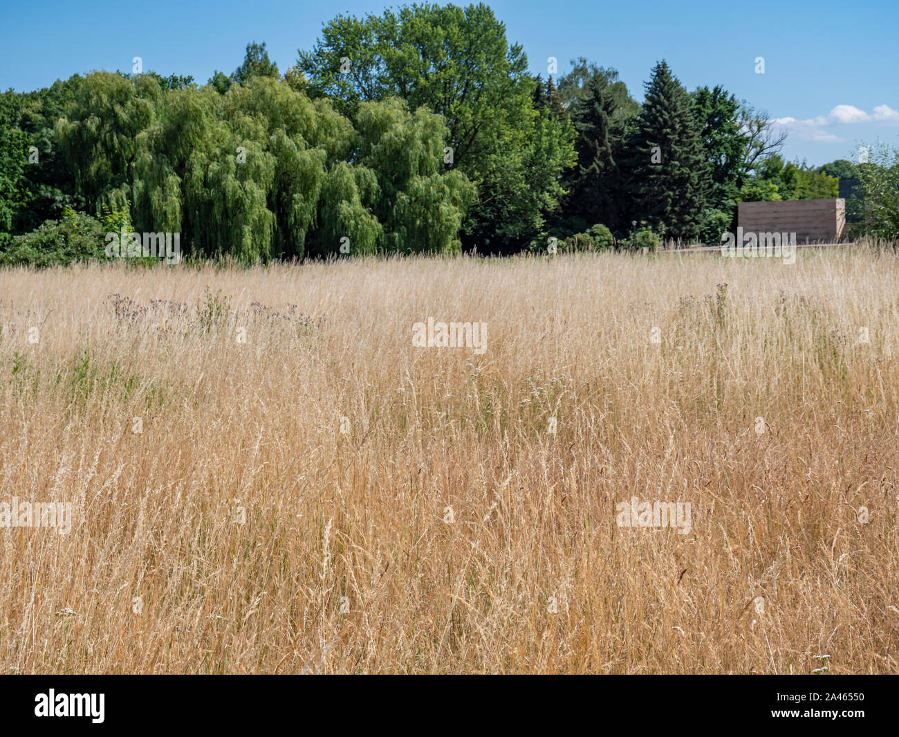 Drought Climate change in Germany Stock Photo - Alamy