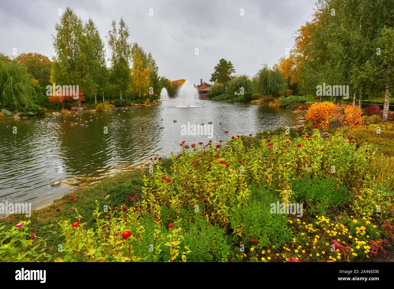 working fountain in an open reservoir in a landscape park Stock Photo ...