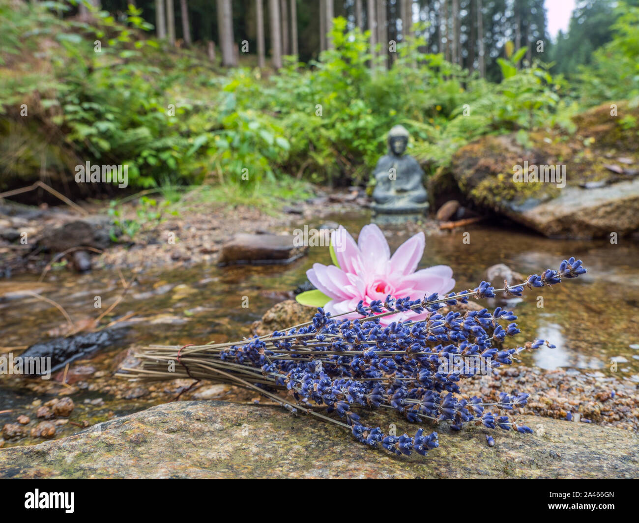 Rest time-out balance life energy Stock Photo - Alamy