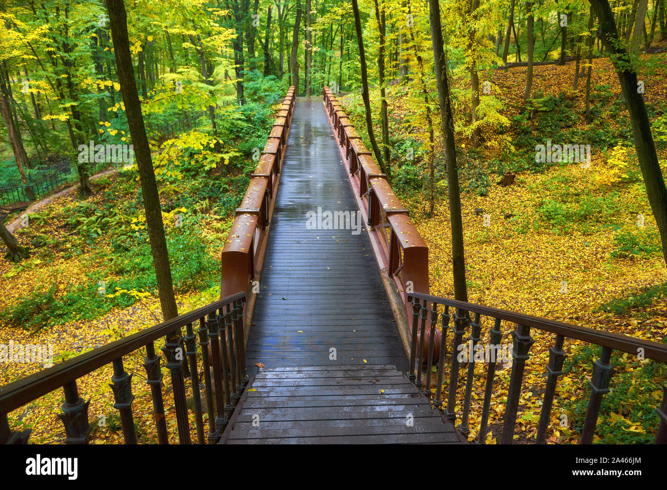 Beautiful wooden bridge in the forest. Colored leaves. Autumn, the ...