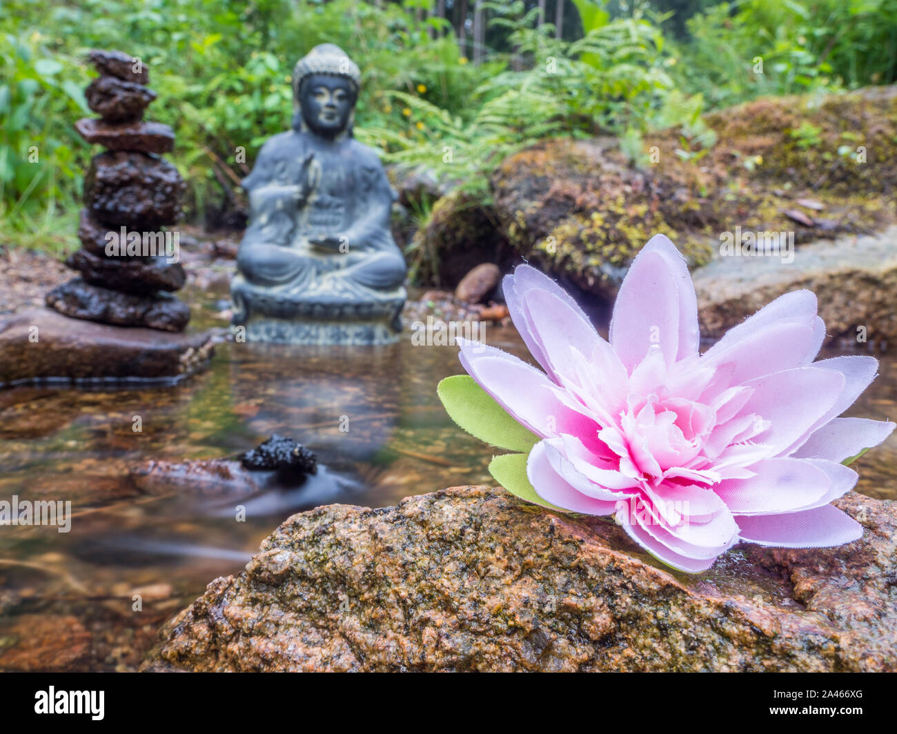 Lotus flower time out balance life Stock Photo - Alamy