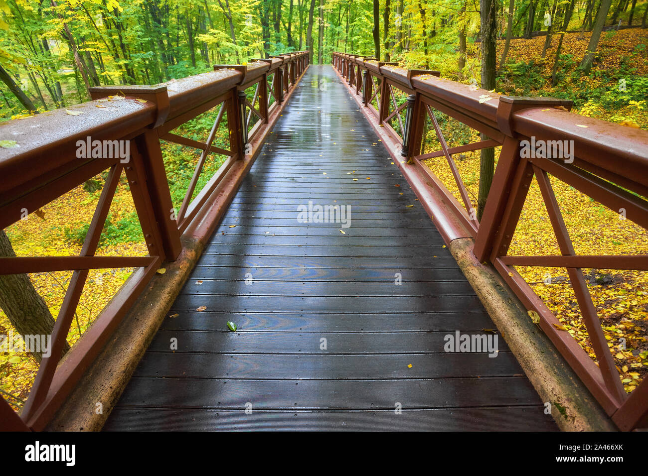 Amazon rainforest brazil bridge hi-res stock photography and images - Alamy