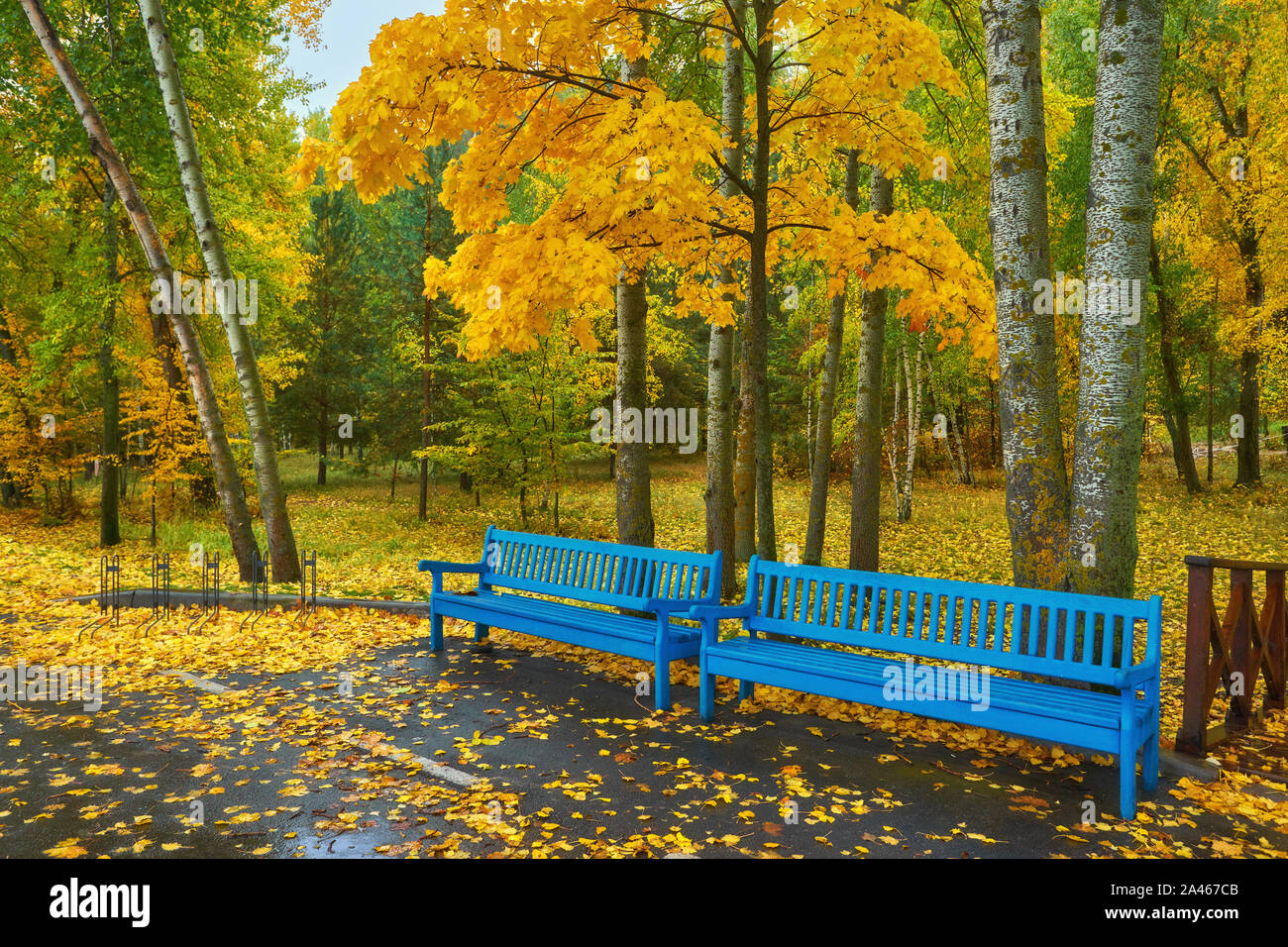 Vintage Bench Background Nature