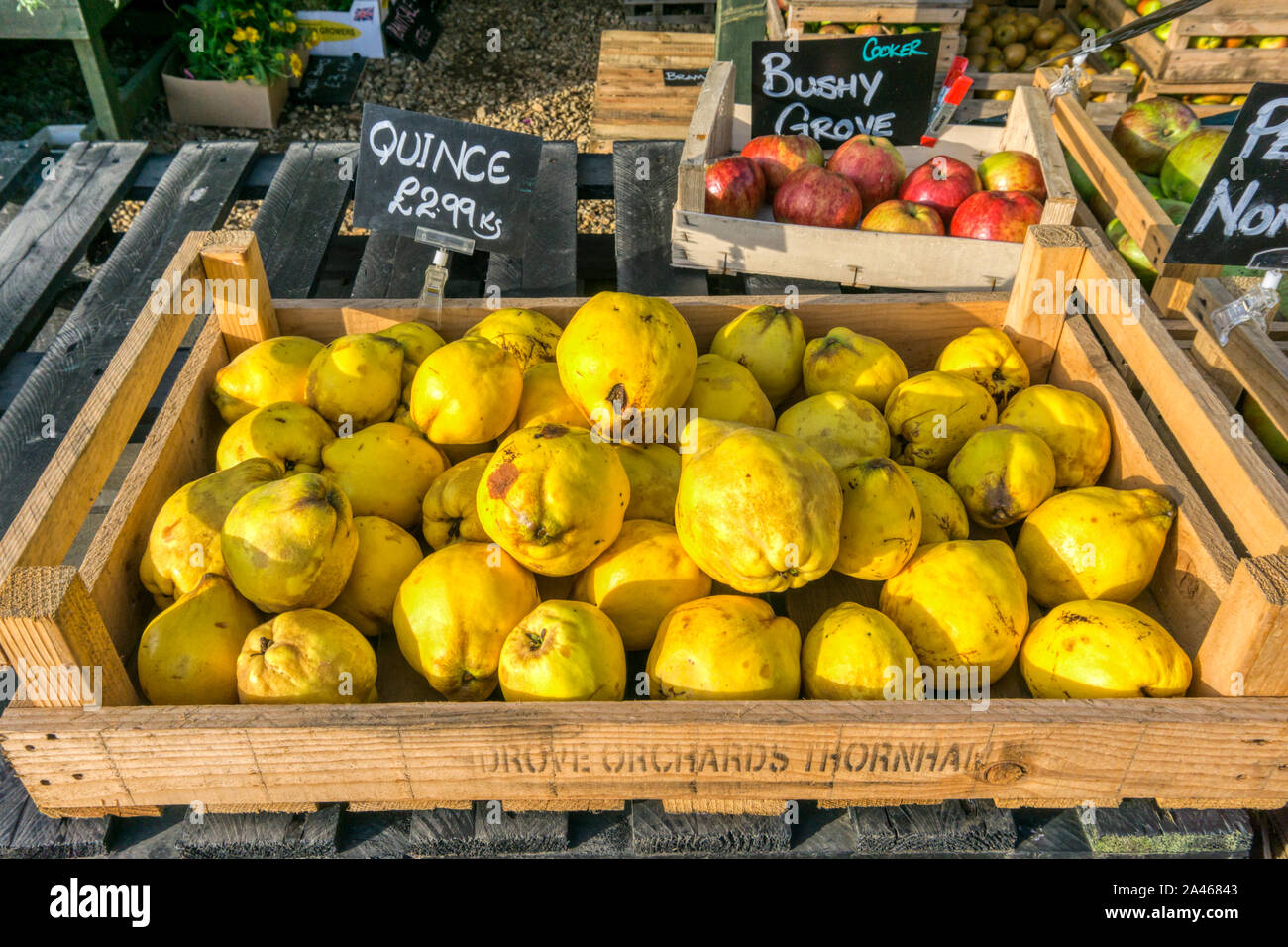 Box of quince for sale at a Norfolk farm shop Stock Photo - Alamy