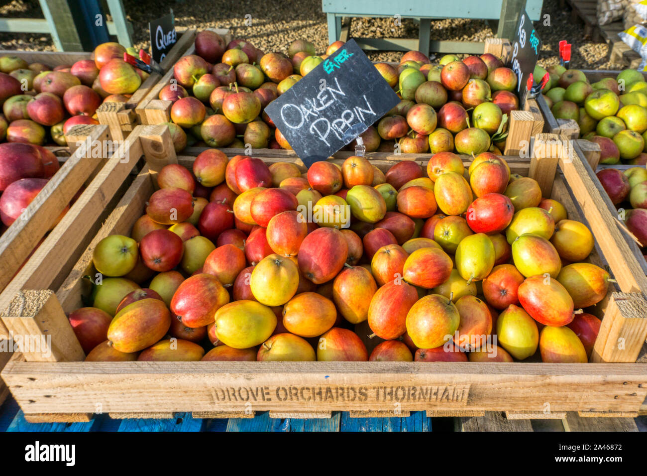 Oaken pippins hi-res stock photography and images - Alamy