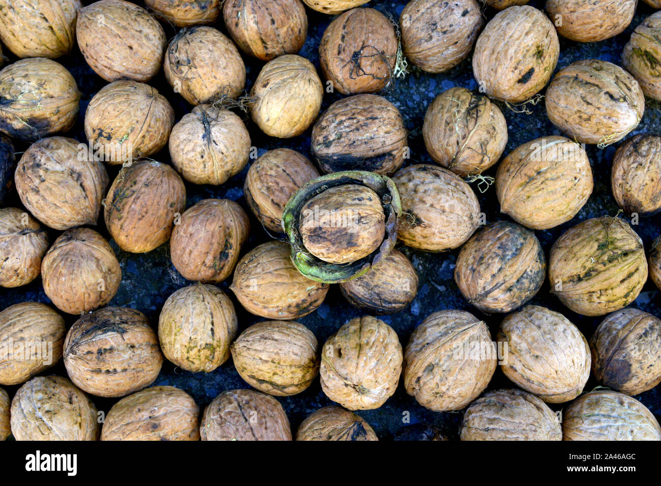image of organic nuts, autumn concept image Stock Photo - Alamy